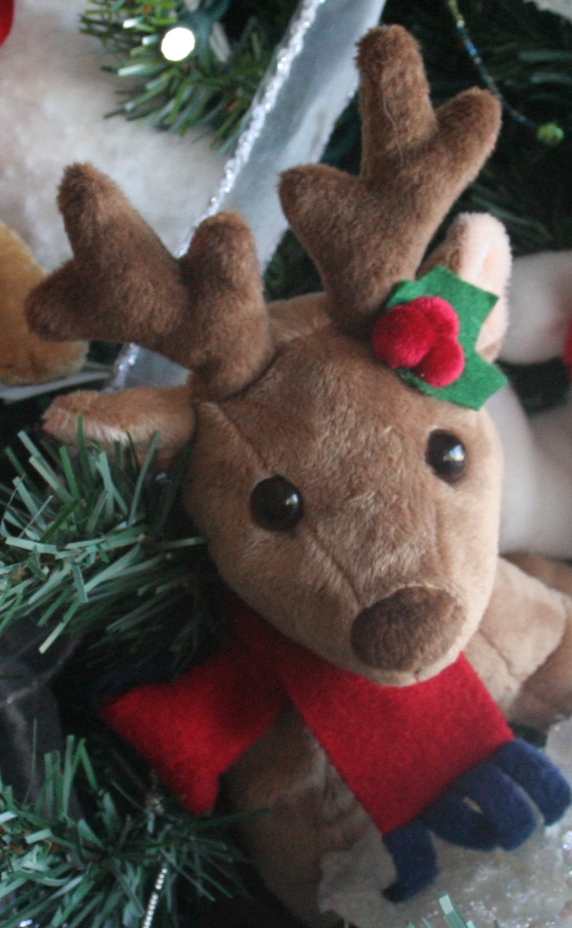 Aerotarandusdynamics: the science of flying reindeer – Edward Willett